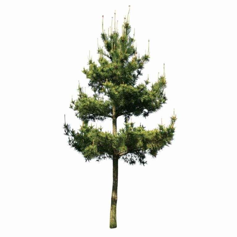 T2_072 – sozaiya.com