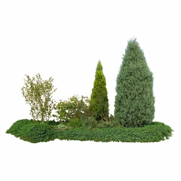 树木材料 – sozaiya.com