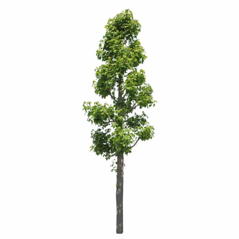 T2_018 – sozaiya.com