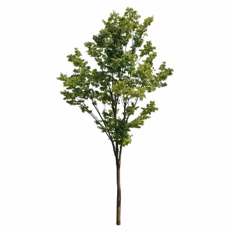 T2_027 – sozaiya.com