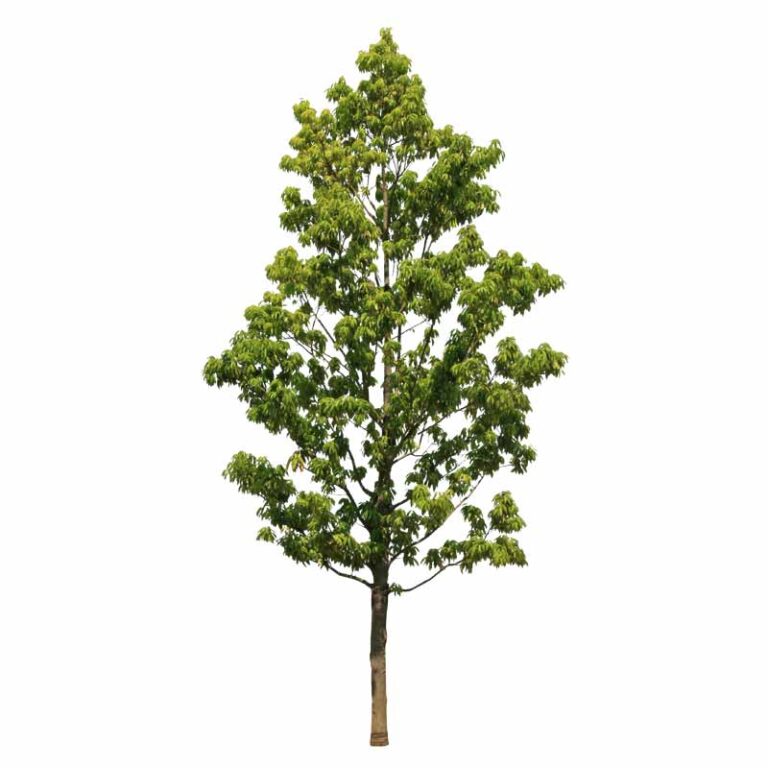 無料データ – ページ 14 – sozaiya.com