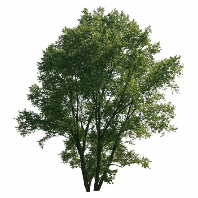 T2_064 – sozaiya.com