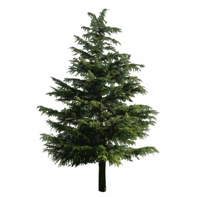 T2_065 – sozaiya.com