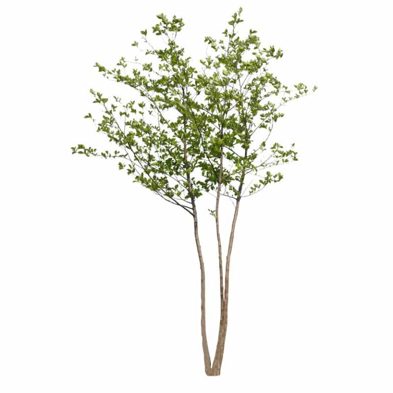 T2_071 – sozaiya.com