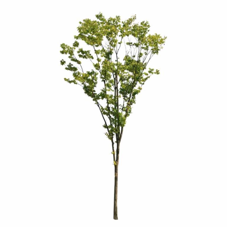 T2_073 – sozaiya.com