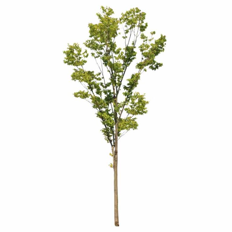 T2_074 – sozaiya.com