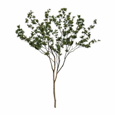 T2_080 – sozaiya.com