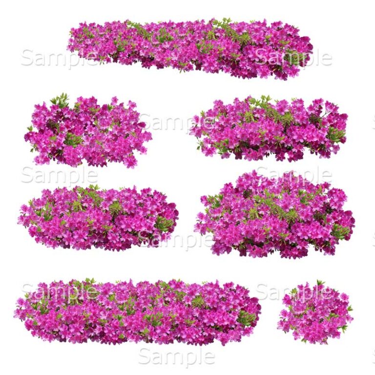 低木素材 – ページ 2 – sozaiya.com