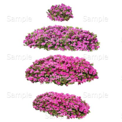 tsu_002 – sozaiya.com