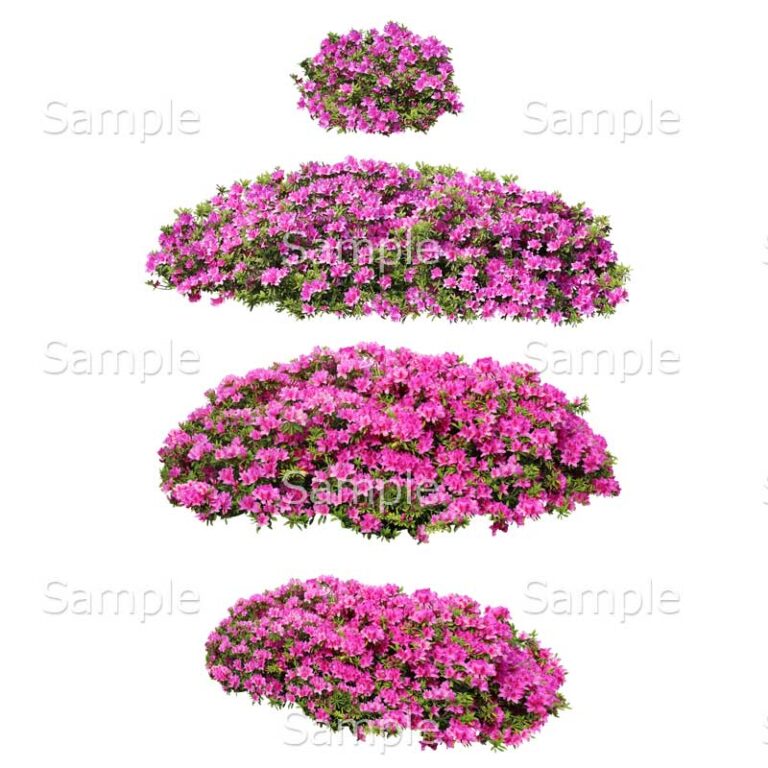 低木素材 – sozaiya.com