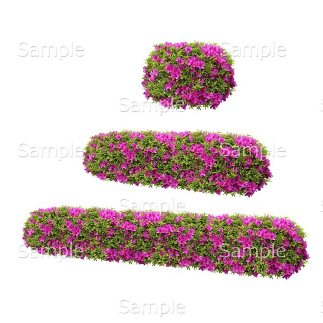 tsu_003 – sozaiya.com