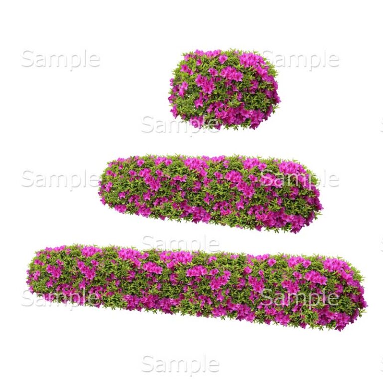 tsu_003 – sozaiya.com