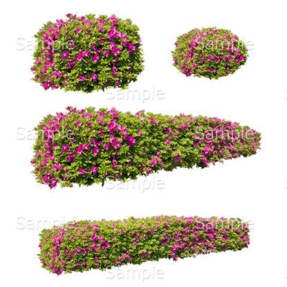 tsu_004 – sozaiya.com