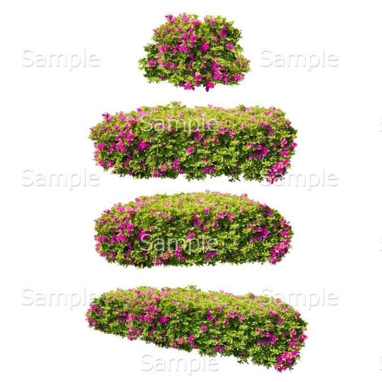 tsu_005 – sozaiya.com