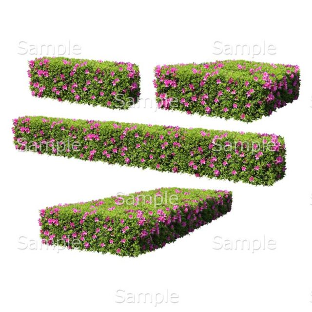 低木素材 – sozaiya.com