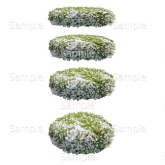 低木素材 – sozaiya.com