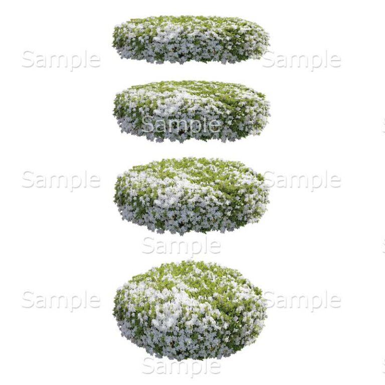 低木素材 – sozaiya.com