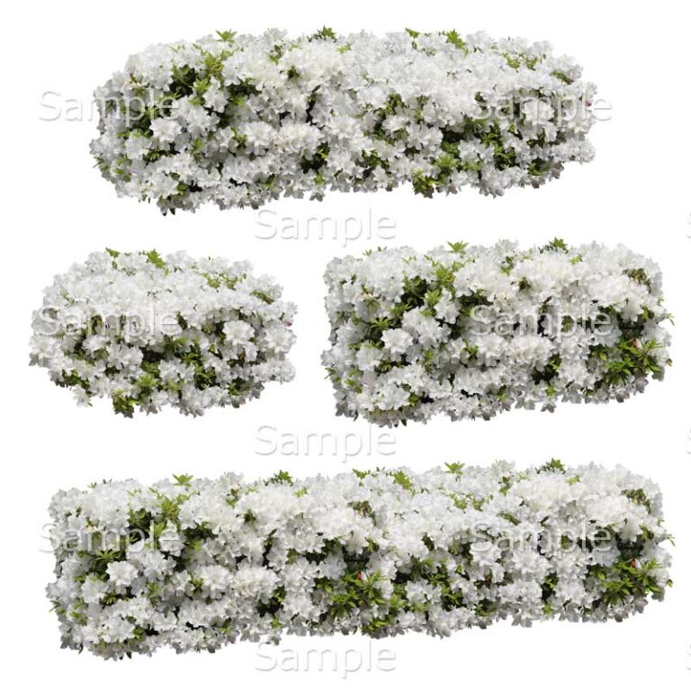 tsu_009 – sozaiya.com