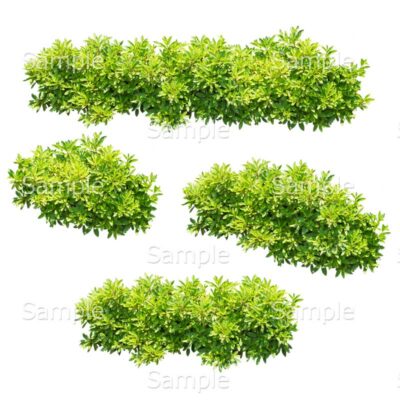 tsu_010 – sozaiya.com