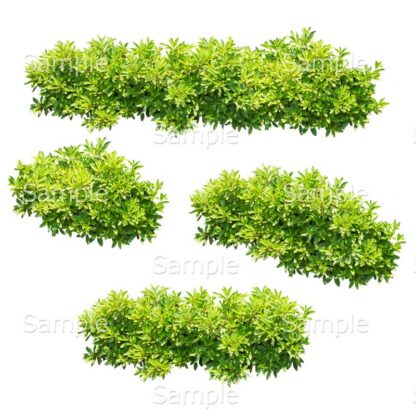 tsu_010 – sozaiya.com