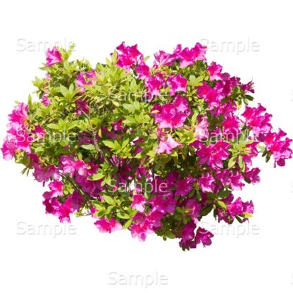 tsu_016 – sozaiya.com