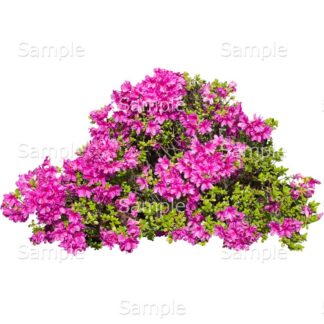 L1022 – sozaiya.com