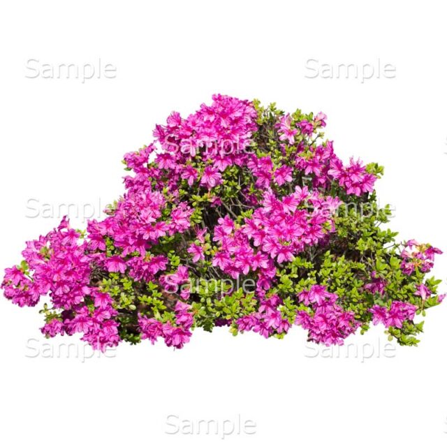 tsu_017 – sozaiya.com