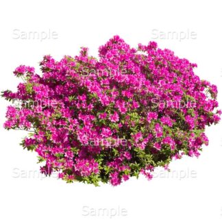 tsu_019 – sozaiya.com