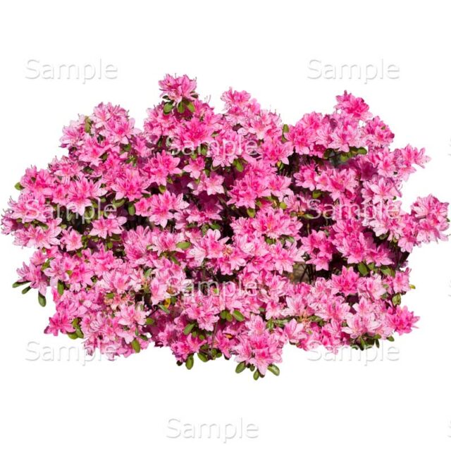 tsu_020 – sozaiya.com