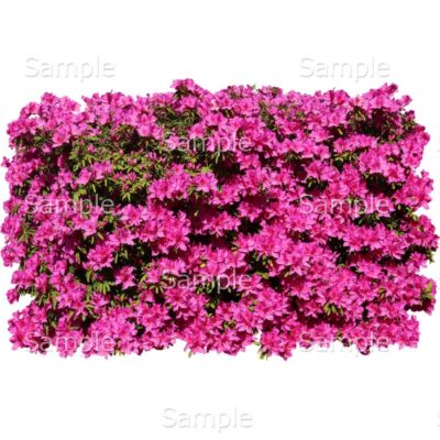 tsu_022 – sozaiya.com