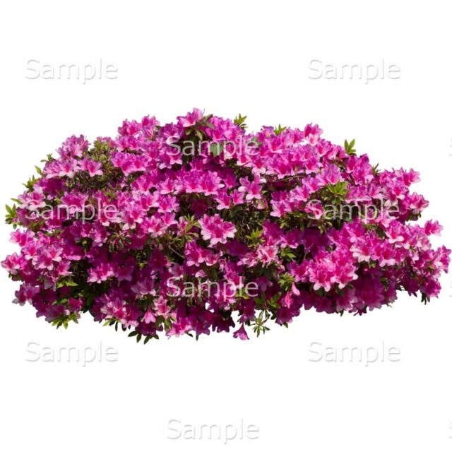 tsu_023 – sozaiya.com