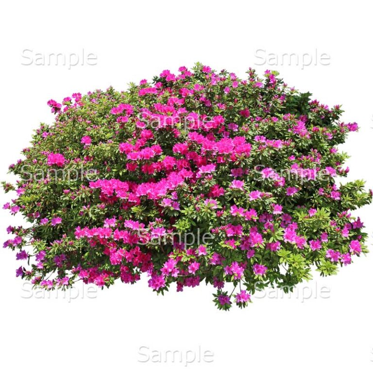 tsu_030 – sozaiya.com