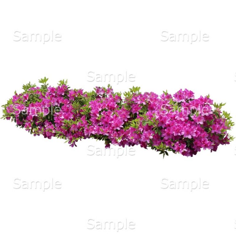 低木素材 – sozaiya.com