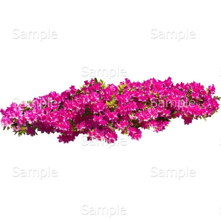 低木素材 – sozaiya.com