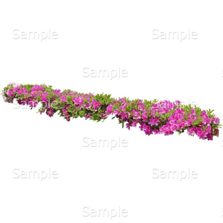 低木素材 – sozaiya.com