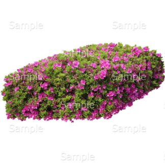 灌木材料 – sozaiya.com