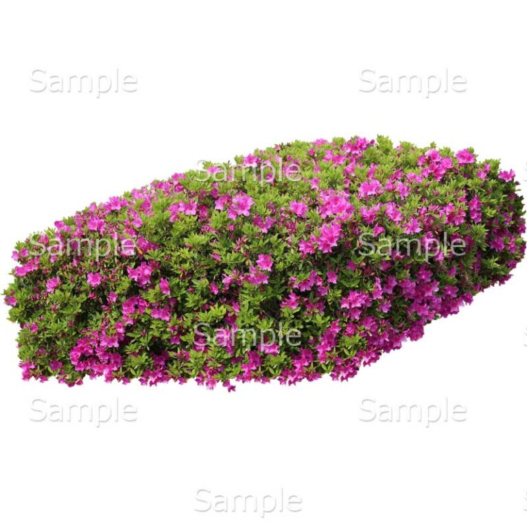 低木素材 – sozaiya.com