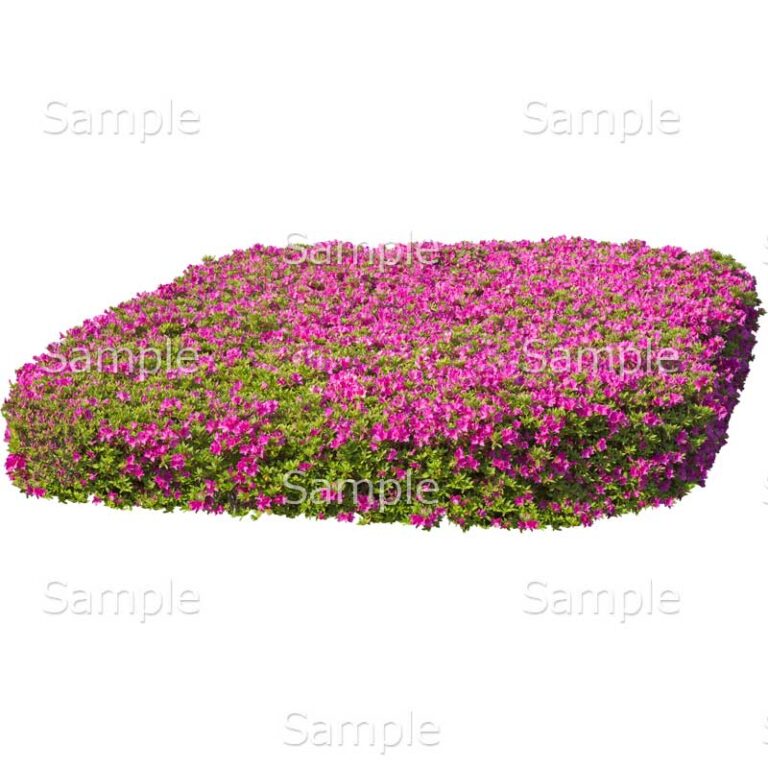 L1022 – sozaiya.com