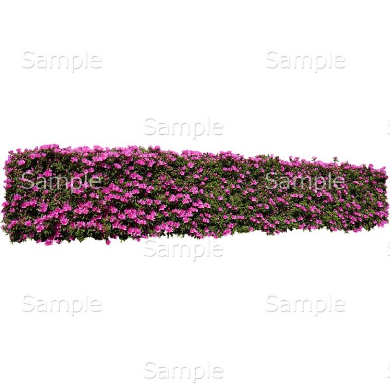 tsu_053 – sozaiya.com