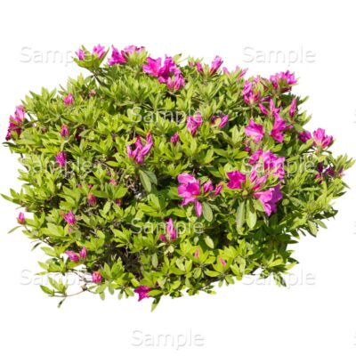 tsu_055 – sozaiya.com