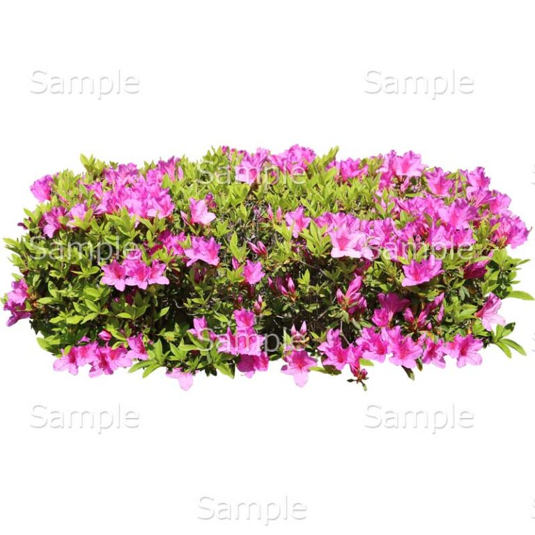 低木素材 – ページ 2 – sozaiya.com