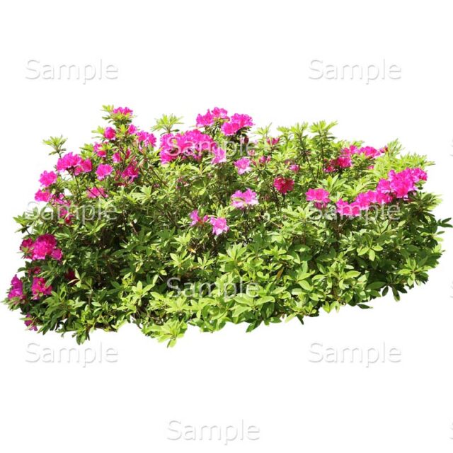 tsu_060 – sozaiya.com