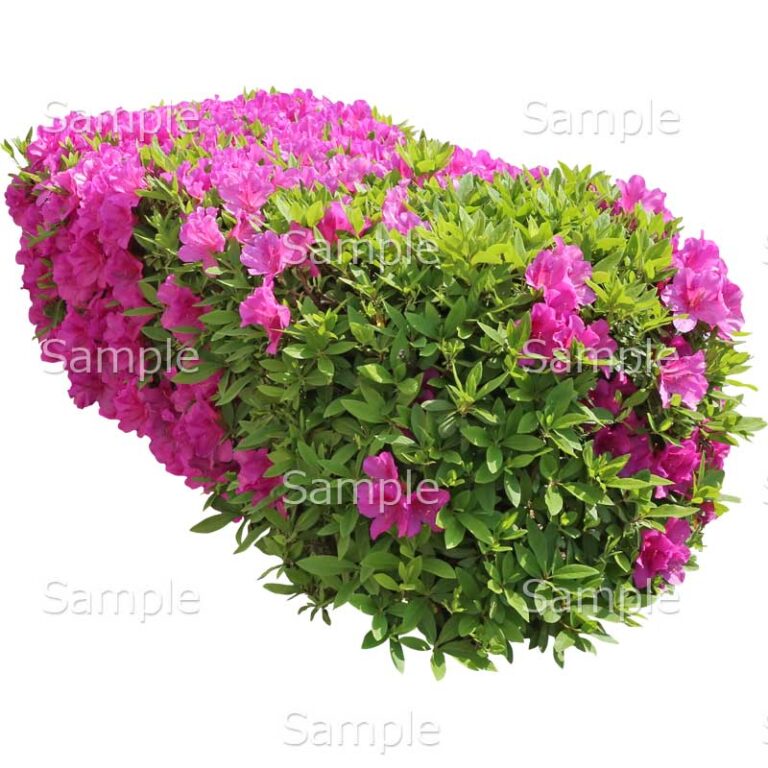 L1012 – sozaiya.com