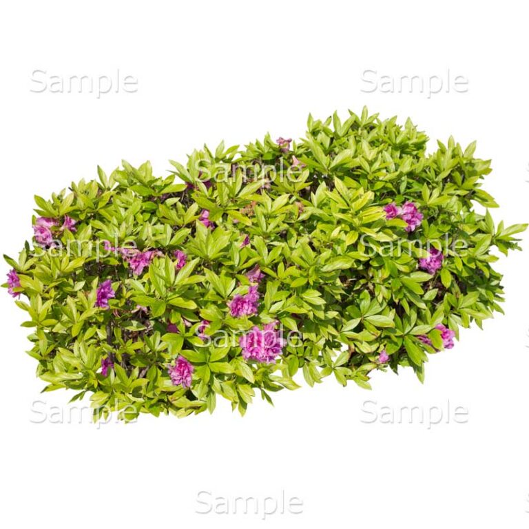 低木素材 – sozaiya.com