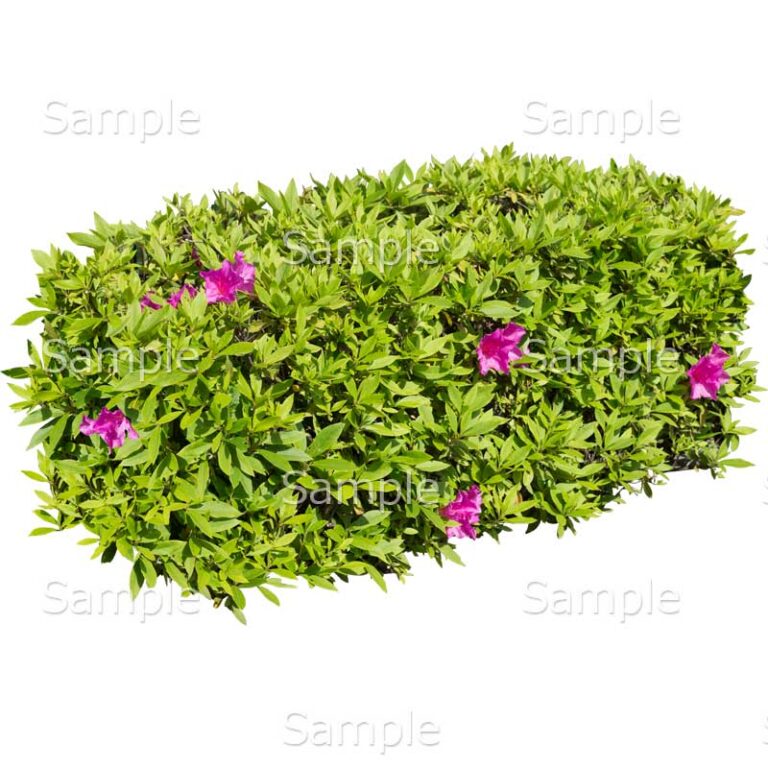 低木素材 – sozaiya.com