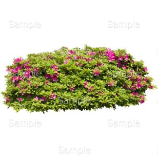 L1001 – sozaiya.com