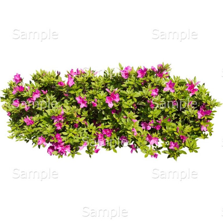 tsu_067 – sozaiya.com