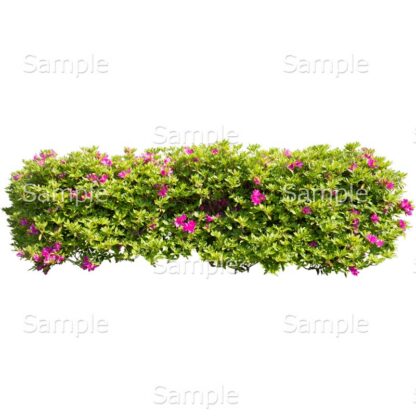 tsu_068 – sozaiya.com