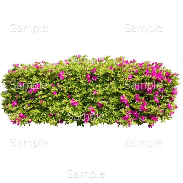 低木素材 – sozaiya.com