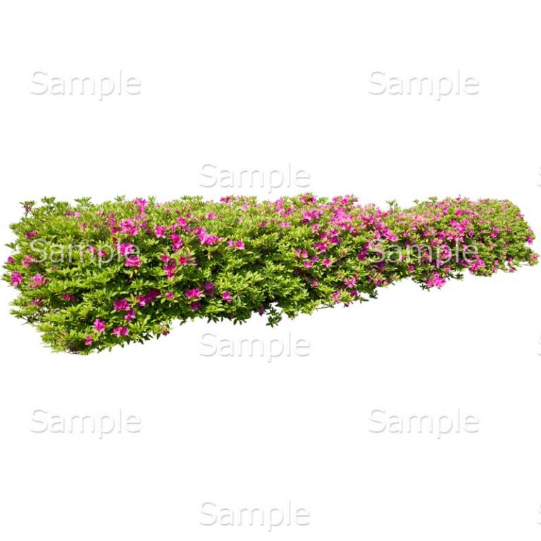 L1012 – sozaiya.com